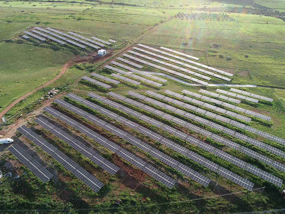 Two new photovoltaic parks of CAVEXOUN have been completed and are ...